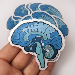 THINK Anatomical Brain Vinyl Die-cut Sticker - Etsy