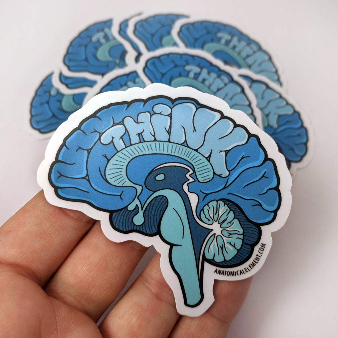 THINK Anatomical Brain Vinyl Die-cut Sticker - Etsy
