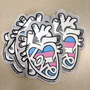 Trans Flag Anatomical Heart Sticker - LOVE is LOVE - Etsy