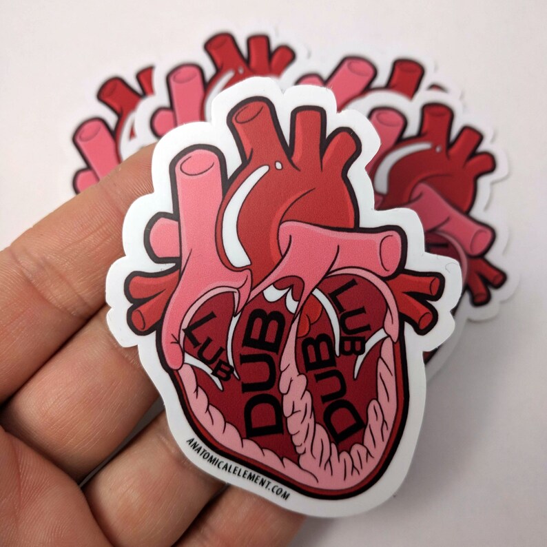 LUB DUB Anatomical Heart Vinyl Die-cut Sticker | Etsy