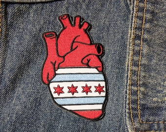 Chicago Flag Anatomical Heart Enamel Pin | Etsy