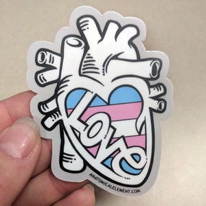 Trans Flag Anatomical Heart Sticker - LOVE is LOVE - Etsy