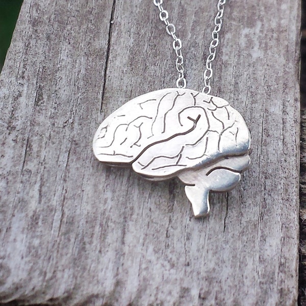 Anatomical Brain - Etsy