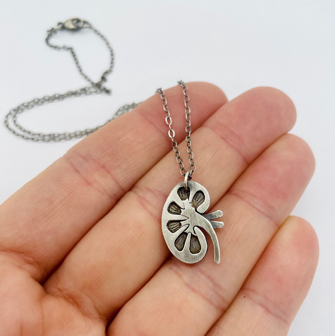 Anatomical Kidney Necklace Itty-bitty Body Parts - Etsy