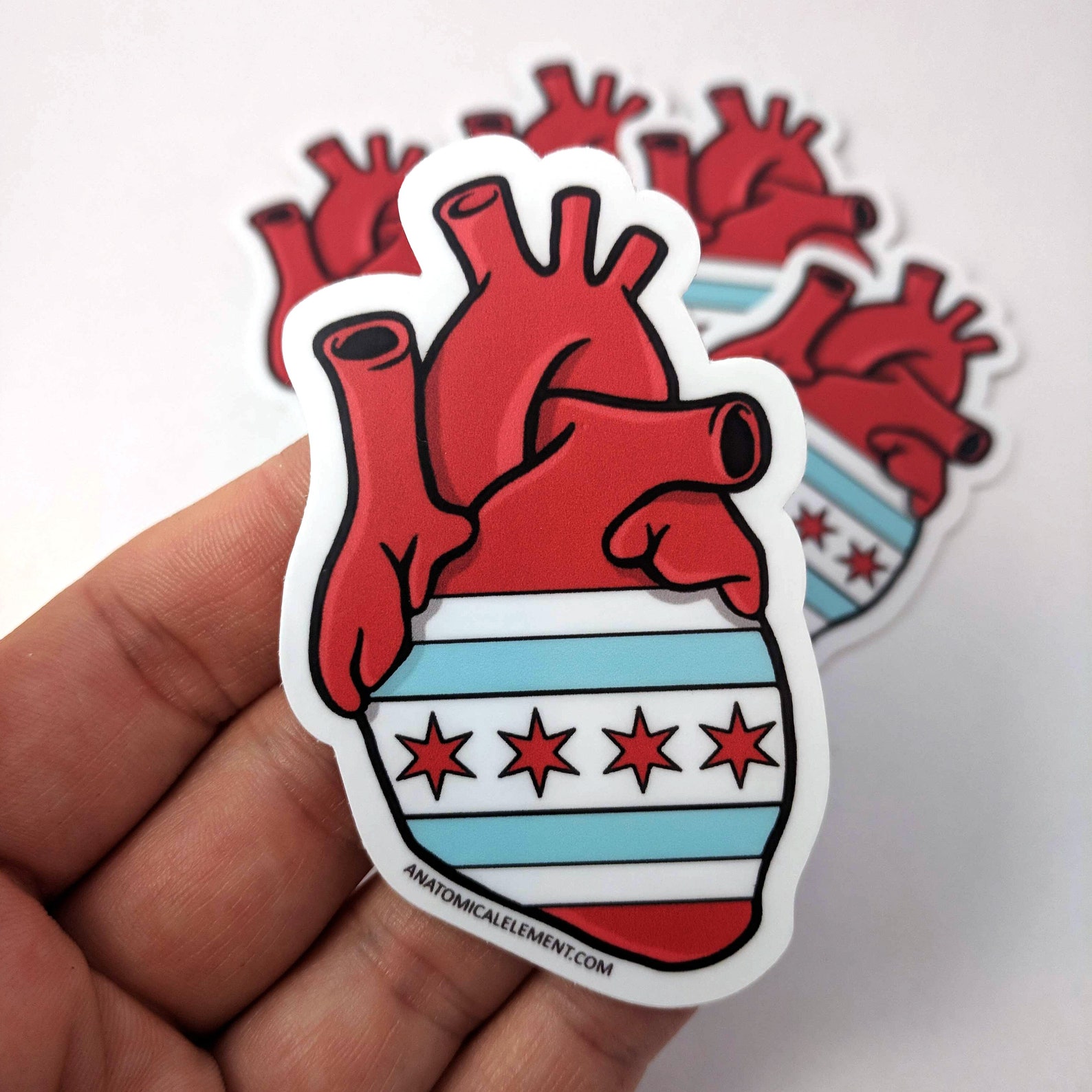 Chicago Flag Anatomical Heart Die Cut Sticker - Etsy