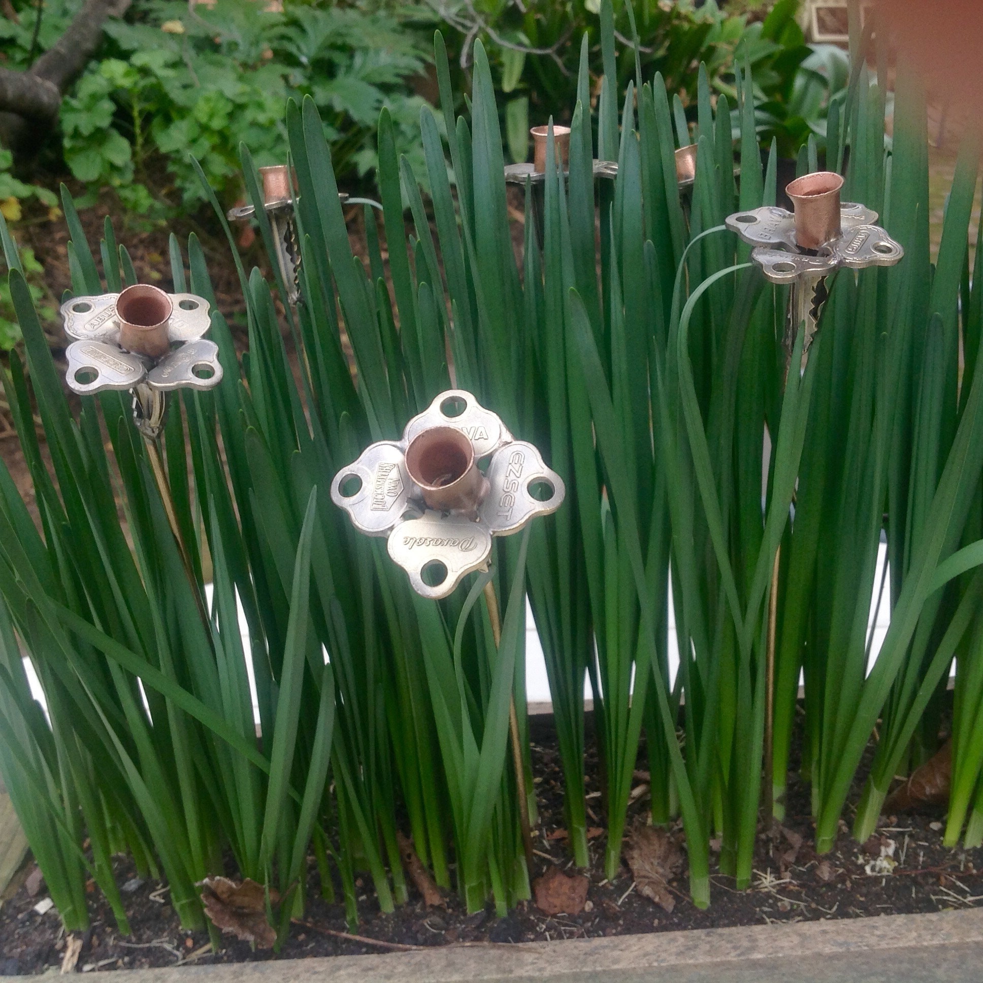 Daffodil Small Flowers in Keys and Coin - Etsy UK