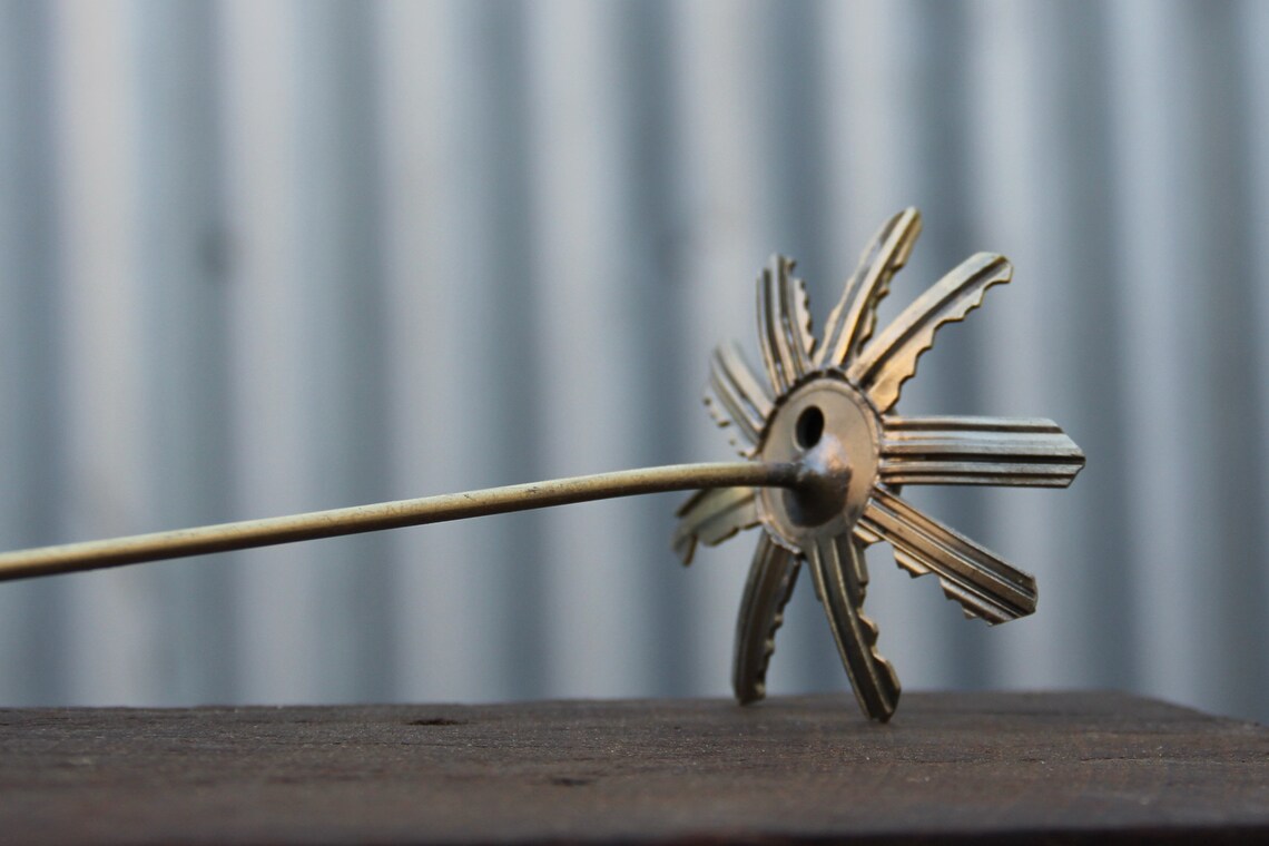 Coin Daisy Flowers in Keys and Coin - Etsy