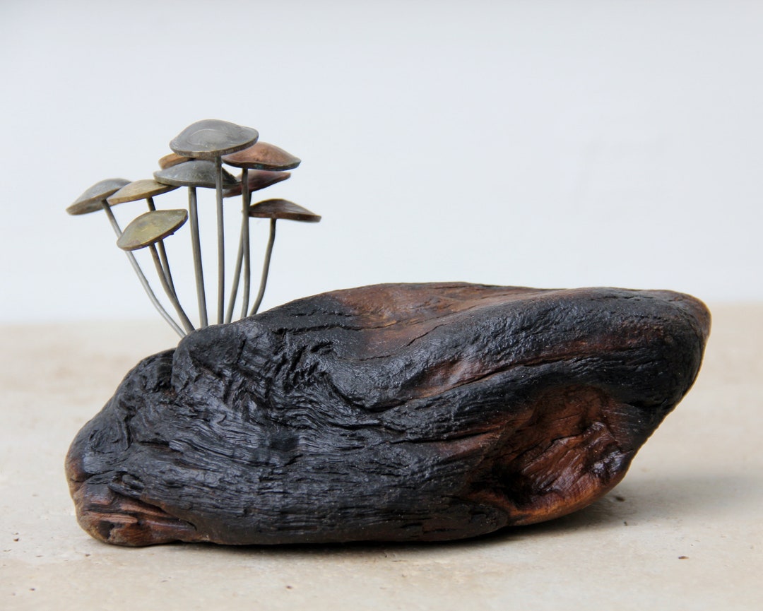 Fungi Money #40, Coin Mushrooms - Etsy