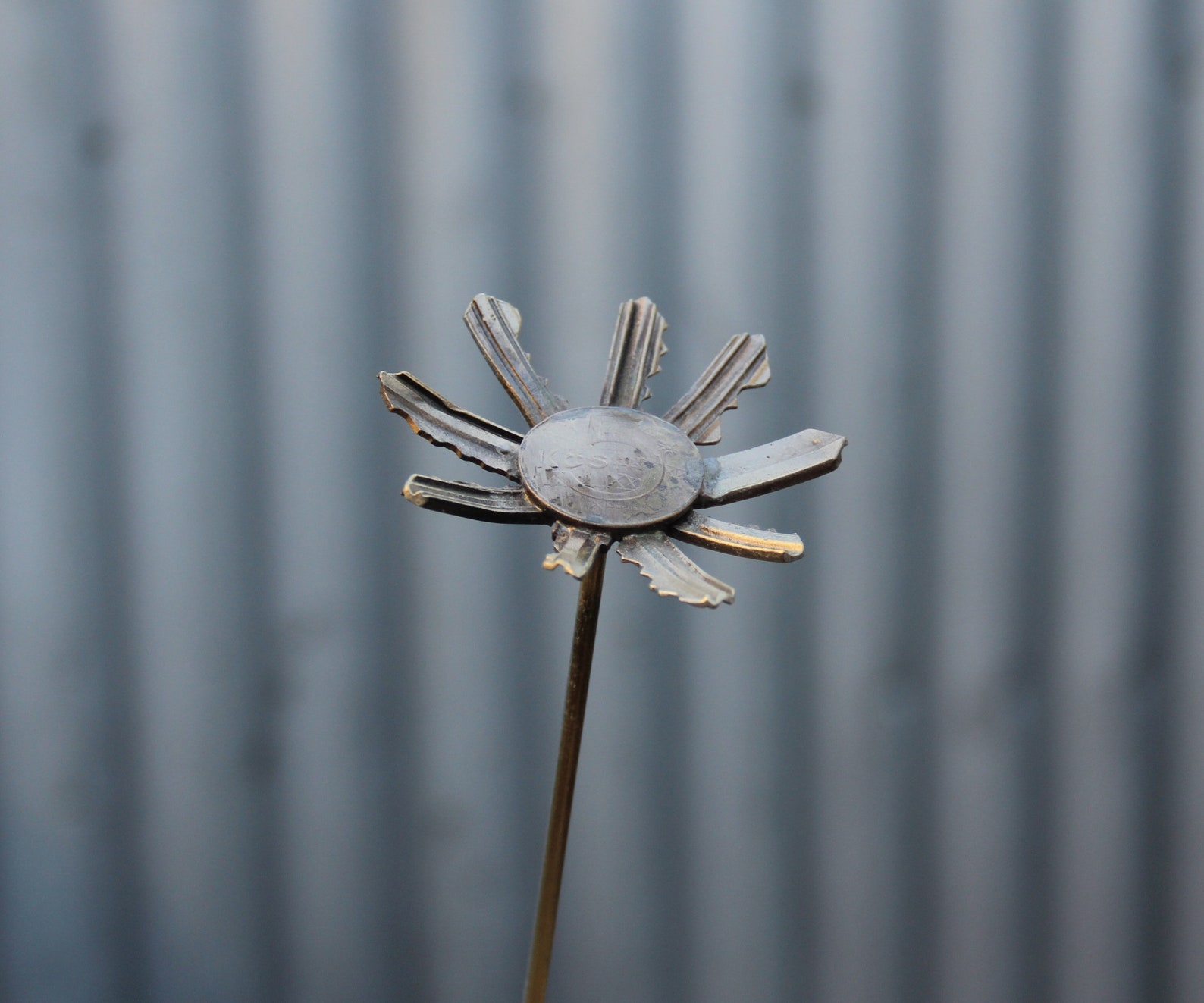 Coin Daisy, Flowers in Keys and Coin - Etsy