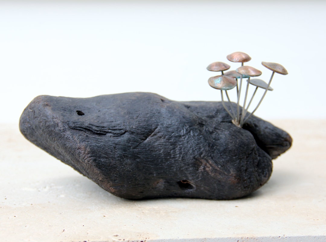 Fungi Money #42, Coin Mushrooms - Etsy