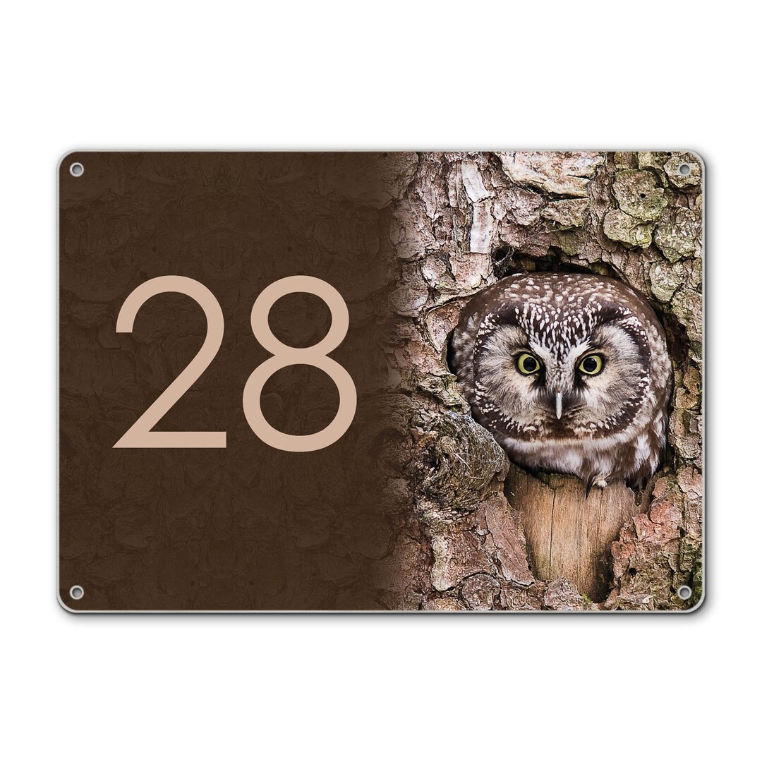 Individual House Number Sign Stainless Steel Personalized OWL - Etsy