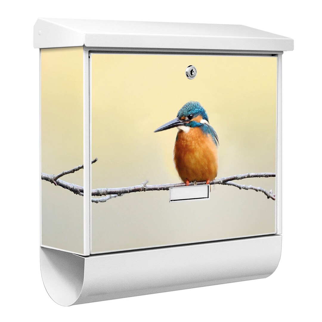 Letterbox White With Name Plate Newspaper Compartment and - Etsy