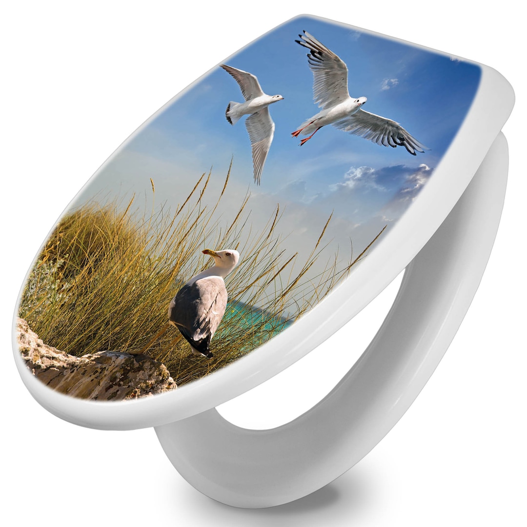 Family Toilet Seat With Soft-close Mechanism Seagull Motif - Etsy