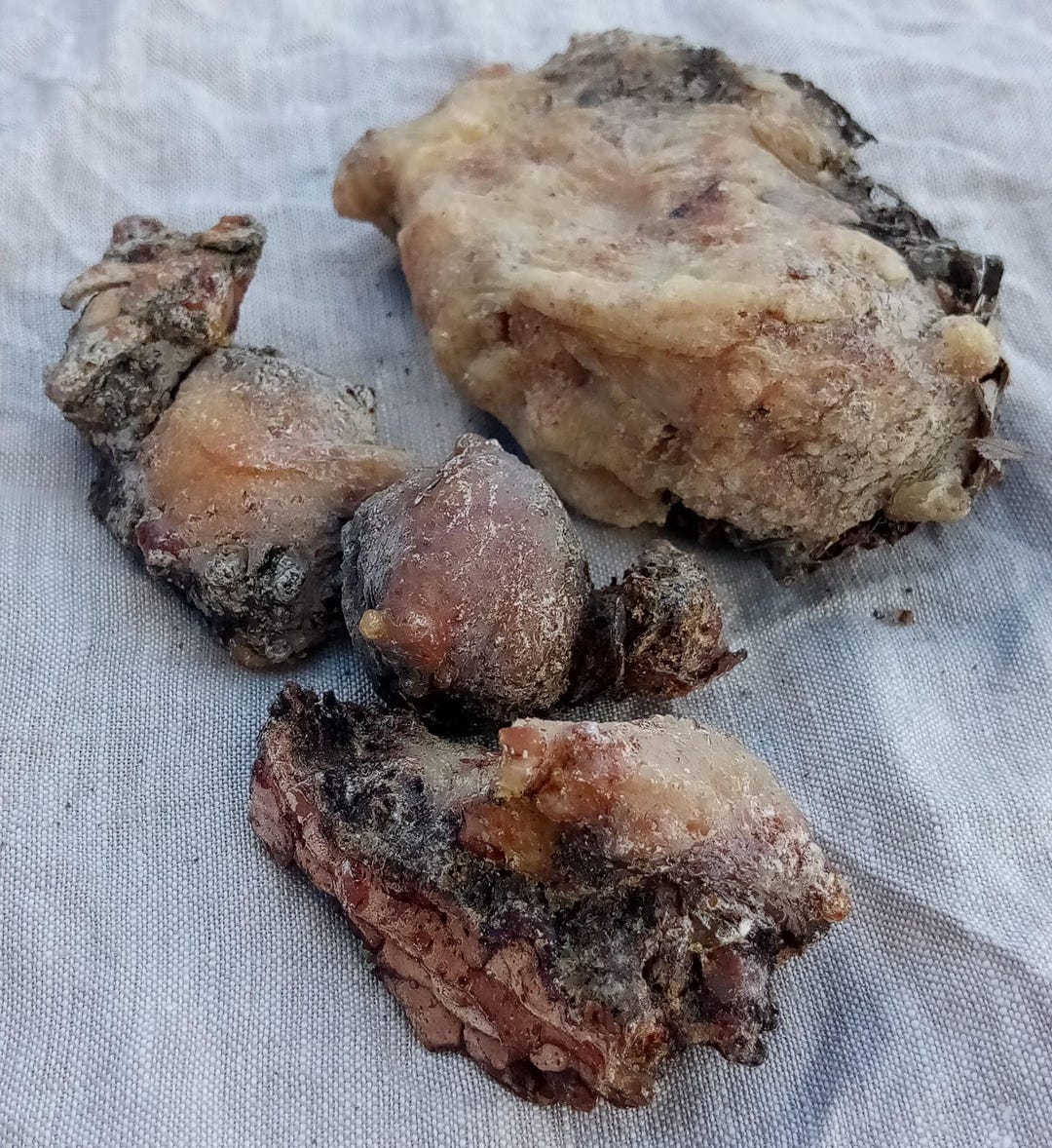 Raw Piñon Pine Sap Resin With Bark, Natural Fire Starter (8oz-2lb) - Etsy