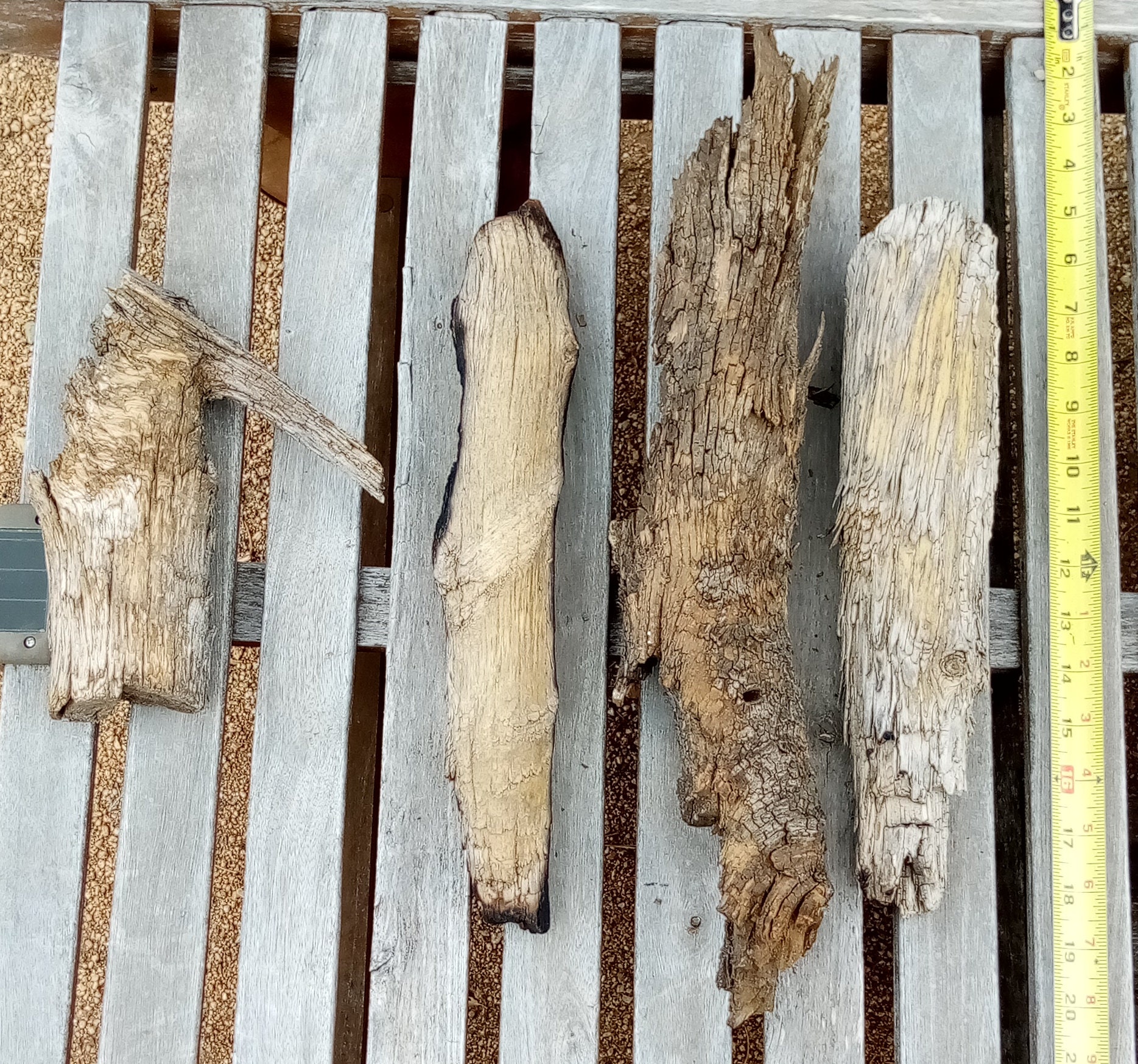 4 Pcs. Ponderosa Pine Knots for Carving, Whittling, Arts and Crafts ...