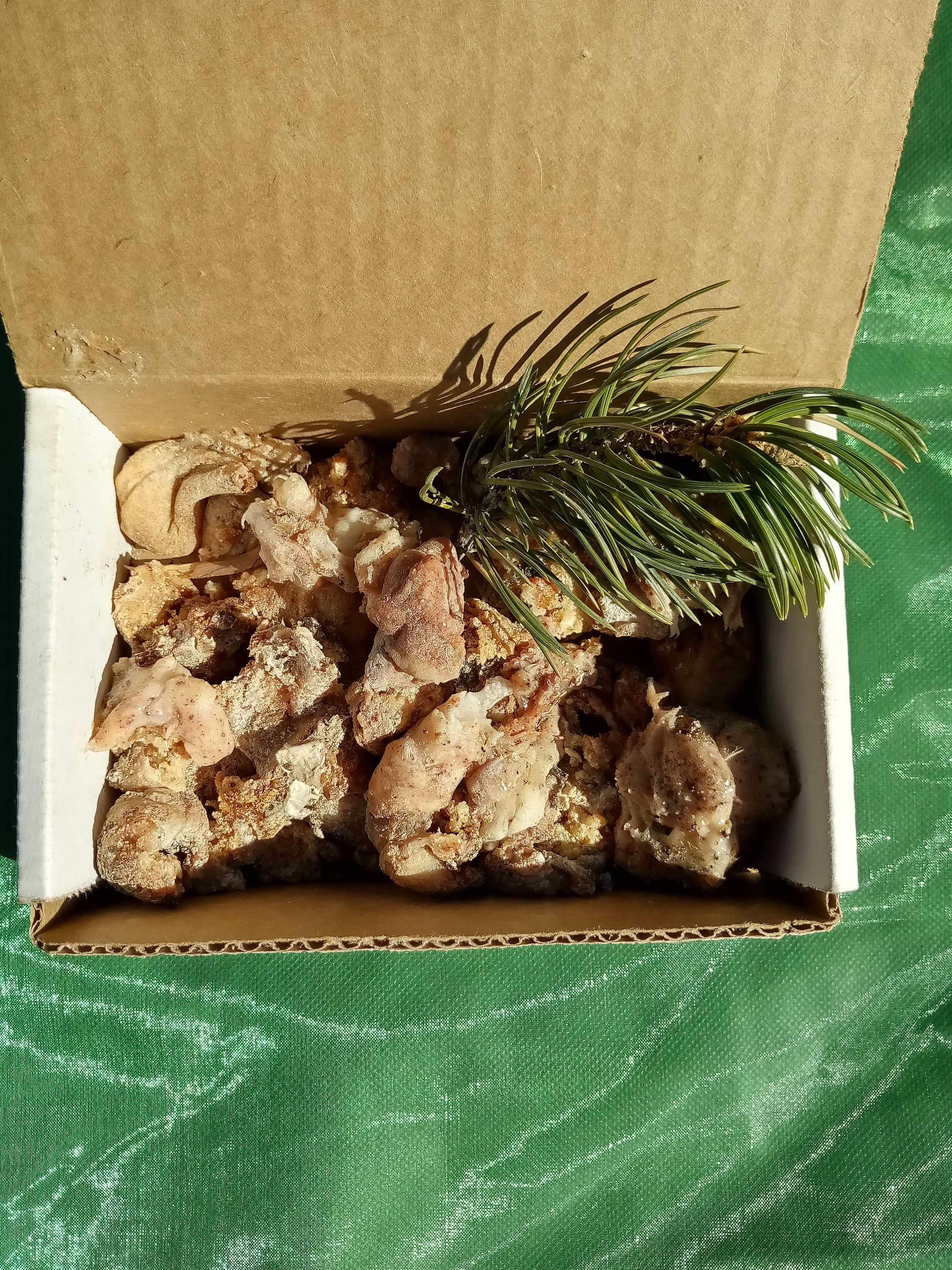 Piñon Pine Tree Resin/sap/resin From South West New Mexico Soft/sticky ...