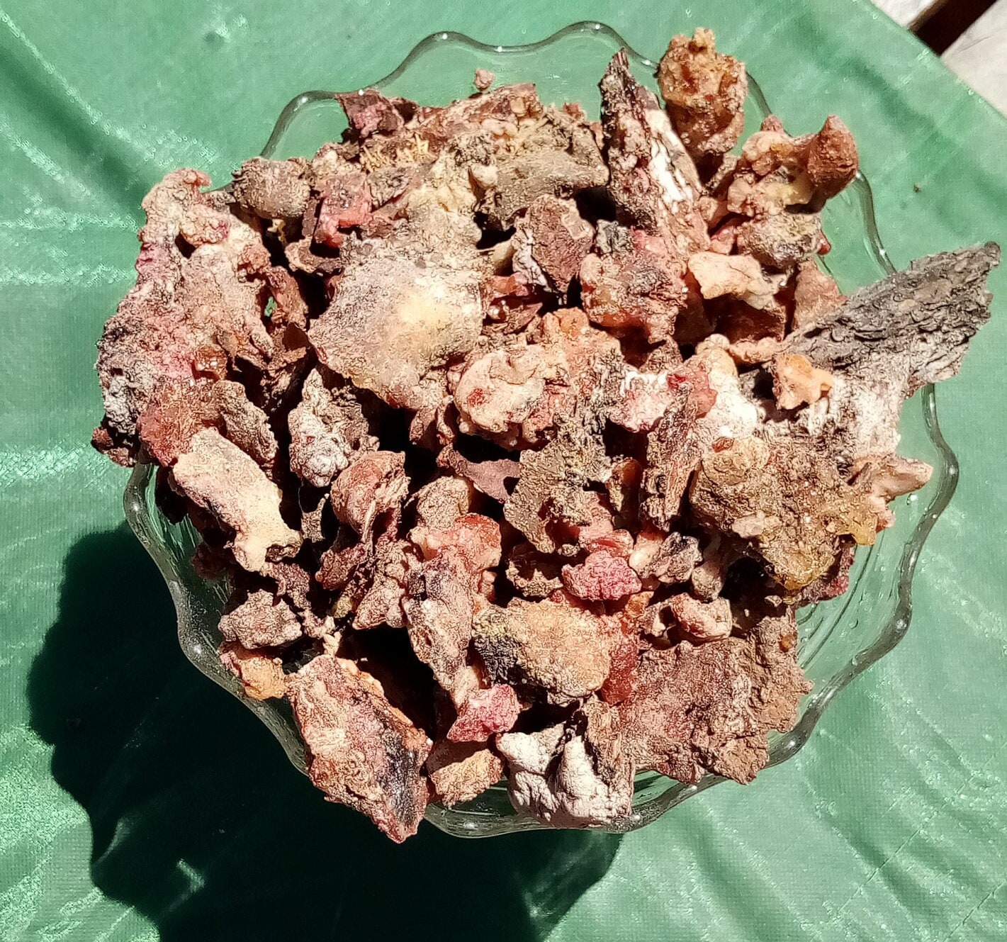 Seconds 2nds Pinon Pine Sap Resin With Pine Bark Attached 8 Oz. & 1 Lb ...