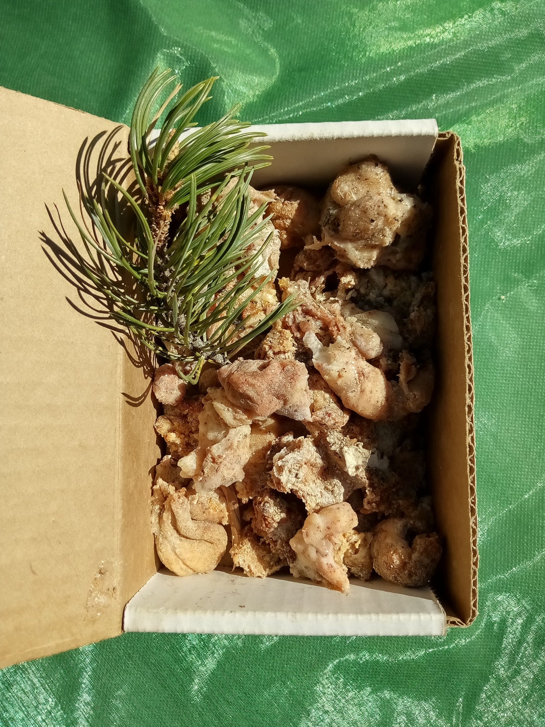 Piñon Pine Tree Resin/sap/resin From South West New Mexico Soft/sticky ...