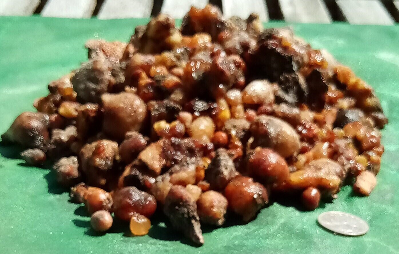 Piñon Pine Tree Sap/resin/pitch From SW New Mexico 1oz. to 2lbs.options ...