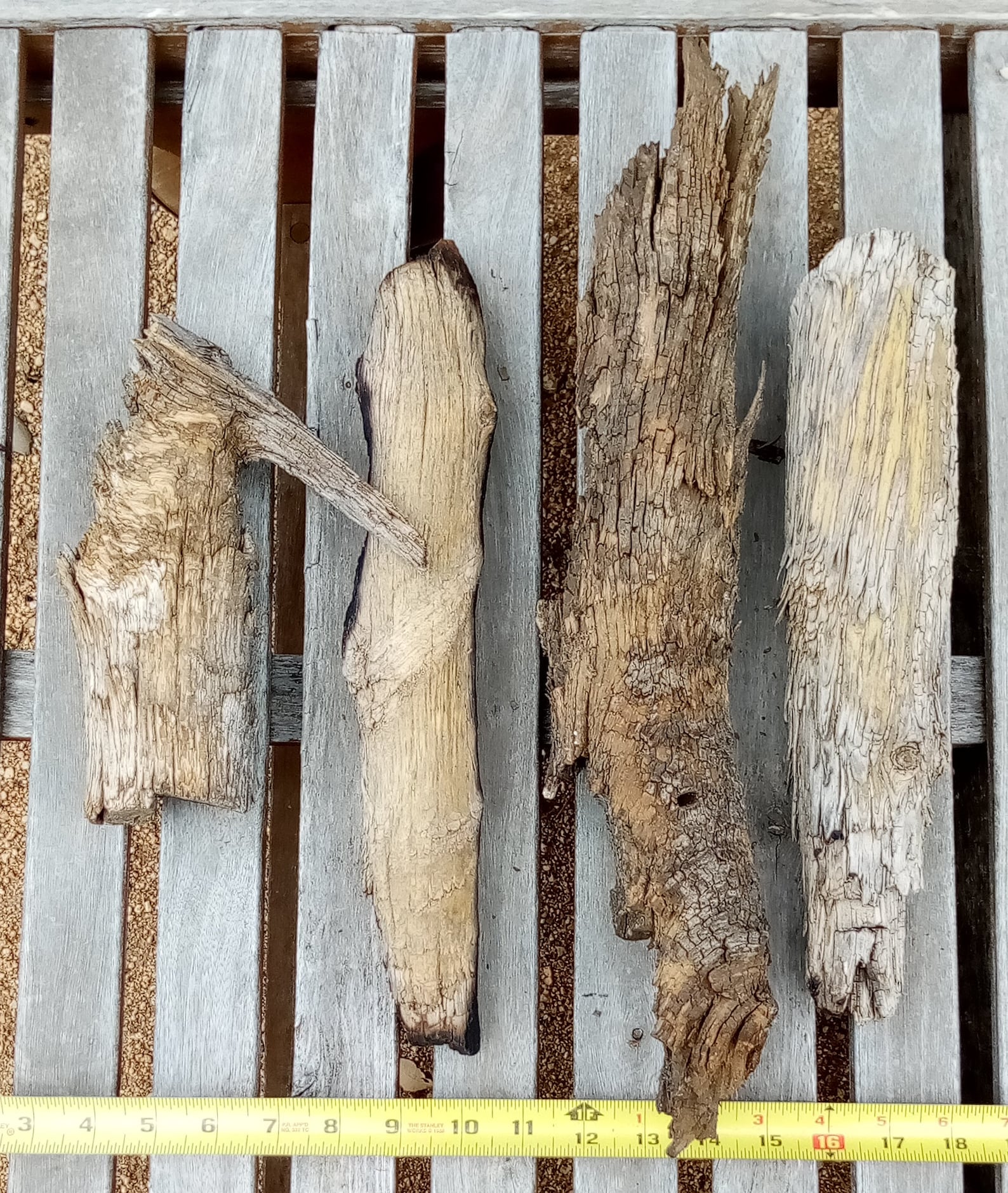 Ponderosa Pine Knots, Carving Wood, Arts and Crafts (4 Pcs) - Etsy