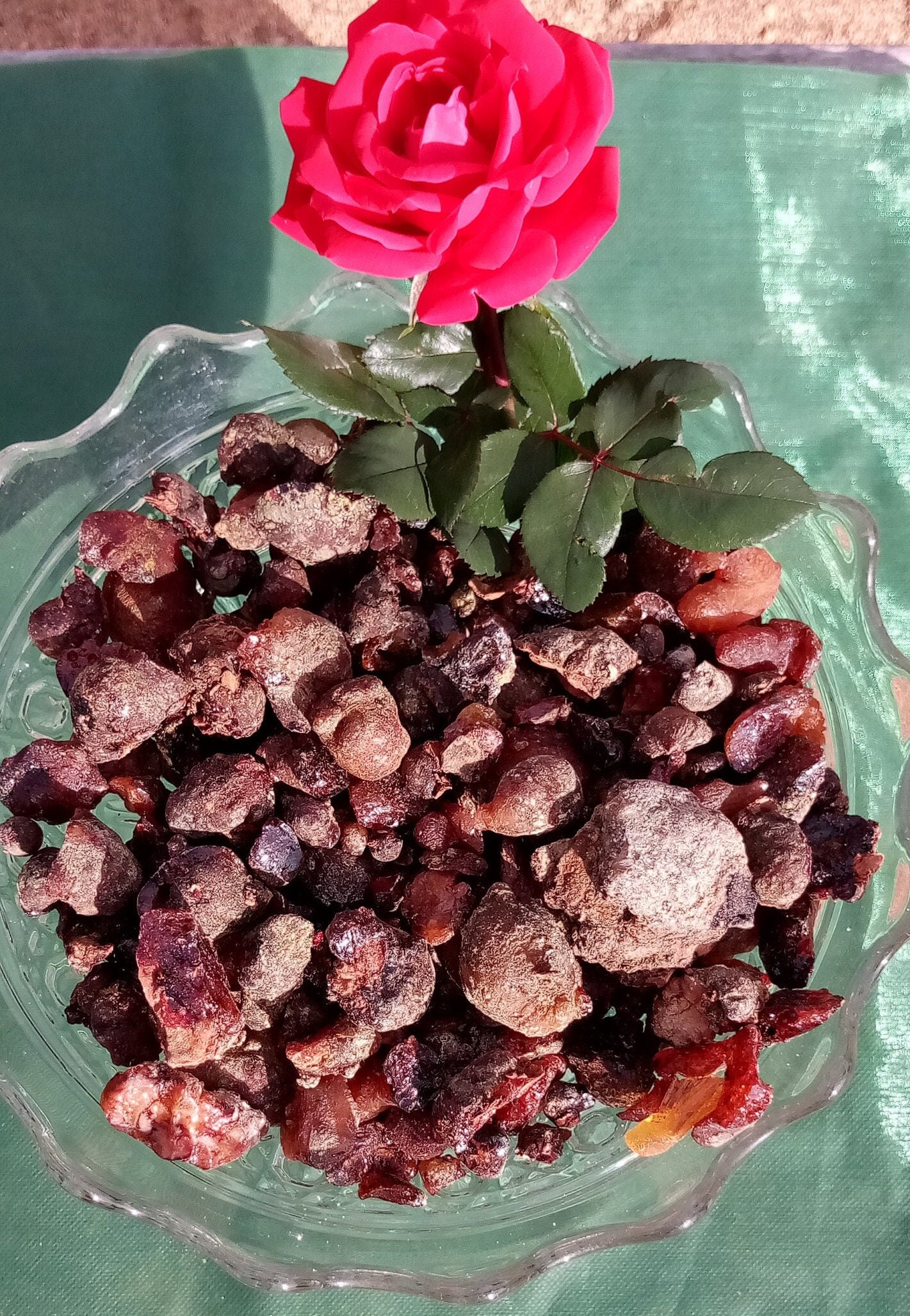 Piñon Pine Tree Sap/resin/pitch From SW New Mexico 1oz. to 2lbs.options ...