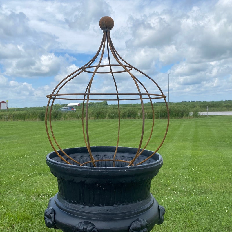 Topiary Frames - Etsy