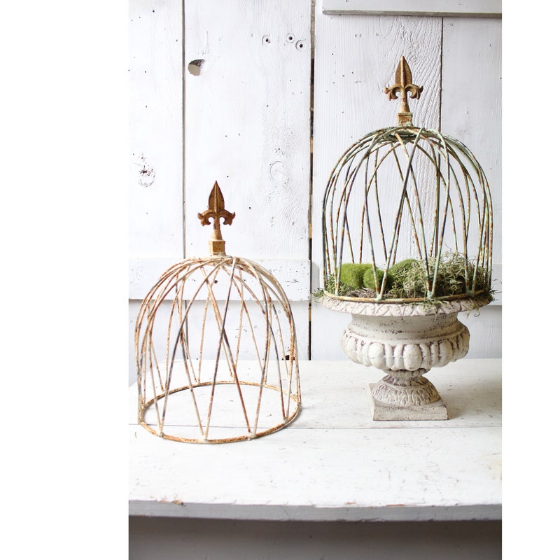 Wire Cloche - Etsy