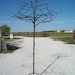 Wrought Iron Large Tree Woodsy Yard Decoration - Garden Art - Birdhouse ...