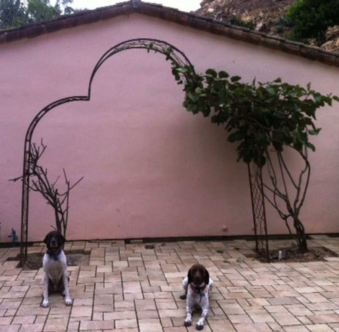 Wrought Iron Driveway Arbor – 10 Ft. Metal Garden Trellis - Etsy