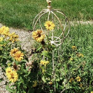 40" Ball Pumpkin Top Topiary Flower Trellis, Plant Climber - Vegetable ...