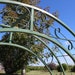 Wrought Iron XL Round Top Arbor, Climbing Flower Garden Arch, Rustic ...