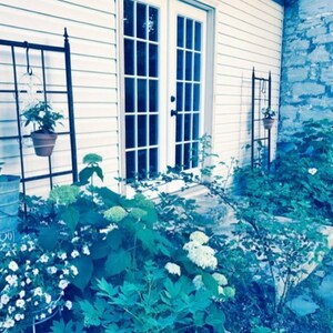 Mission Style Garden Trellis, Metal Art, Climbing Vine Support (72x24 ...