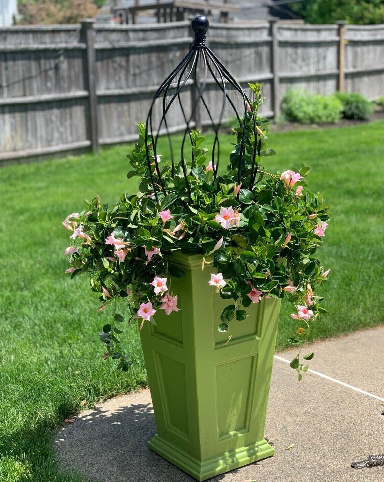 Wrought Iron 27 Beatrice Ball Topiary Flower Trellis - Etsy