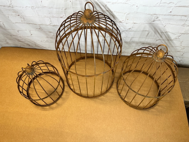 Wrought Iron Bird Cage Cloche, Rustic Garden Trellis, 18" - Etsy