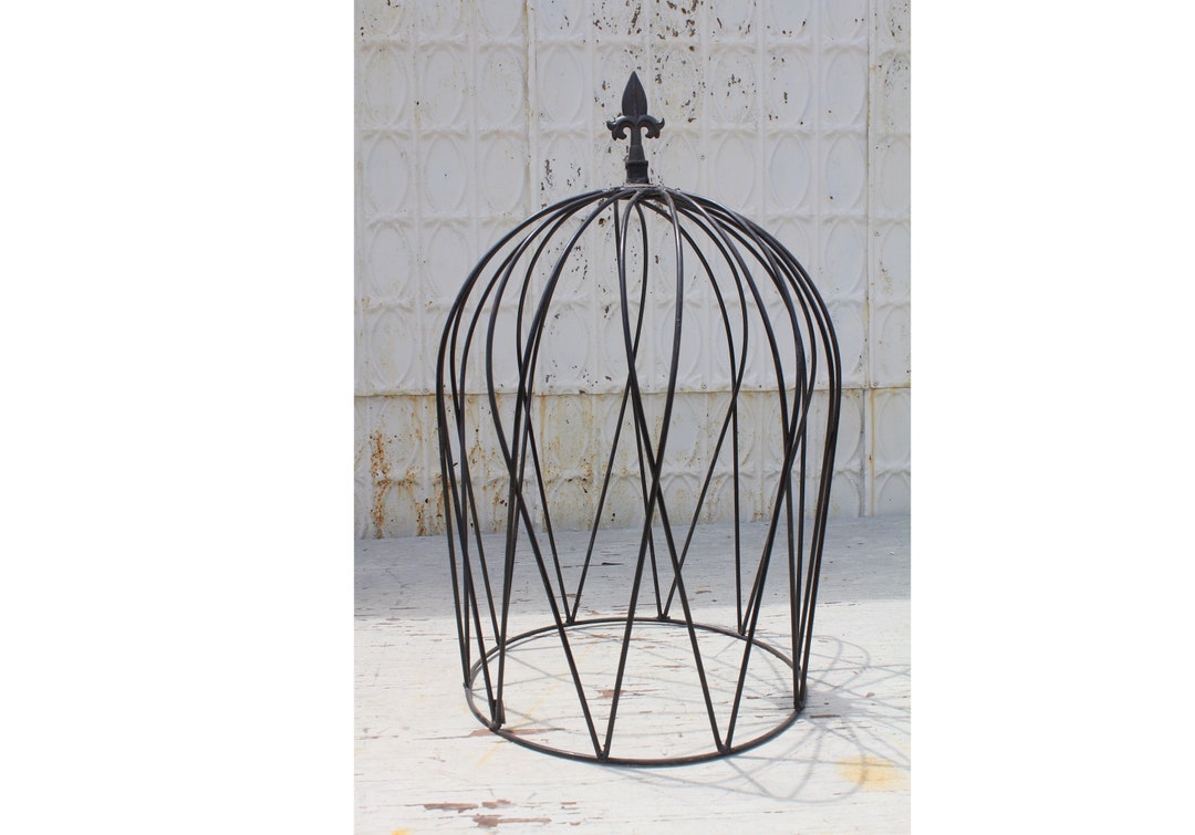 Rustic Metal Cloche Topiary Trellis, Plant Climber, Yard Sculpture (26 ...