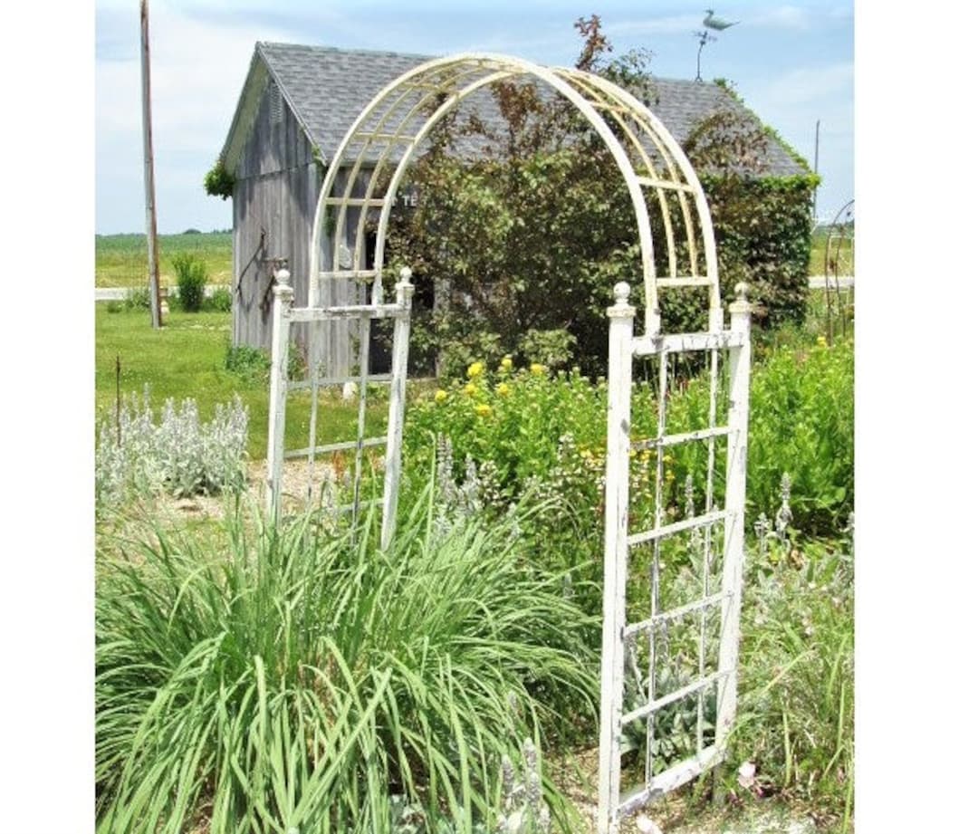 Dome Wrought Iron Garden Arbor – Rustic Climbing Plant Support - Etsy