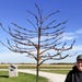 Wrought Iron Large Tree Woodsy Yard Decoration - Garden Art - Birdhouse ...