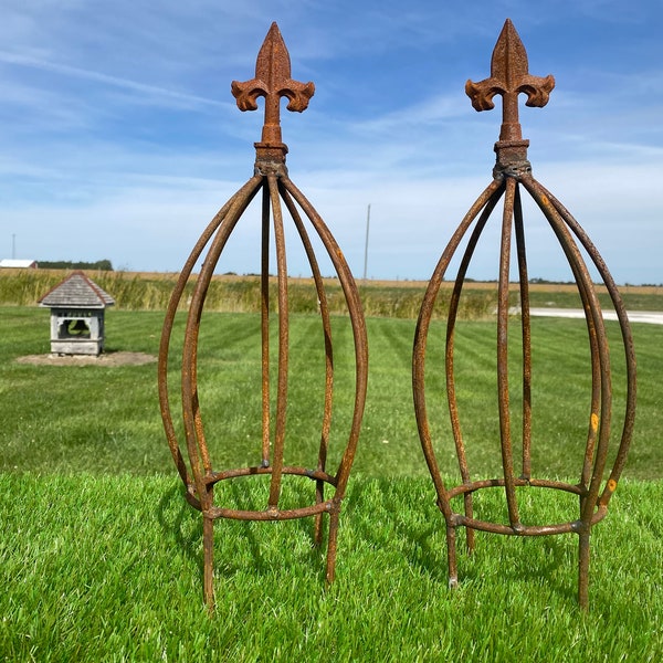 Topiary Frame - Etsy