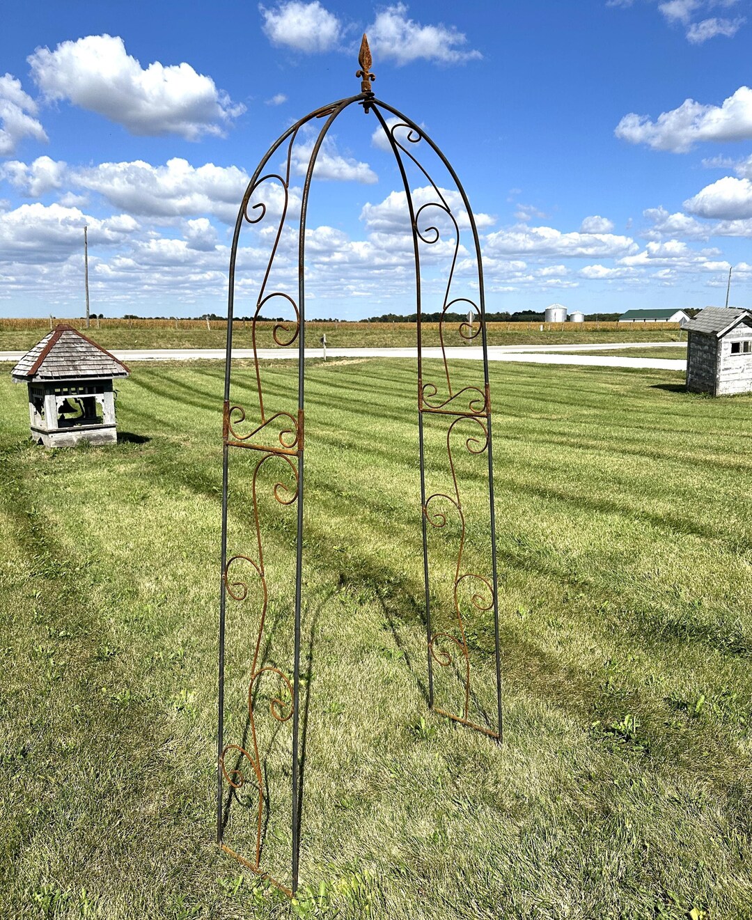 Narrow Honeysuckle Wrought Iron Arbor, Climbing Flower Garden Arch ...