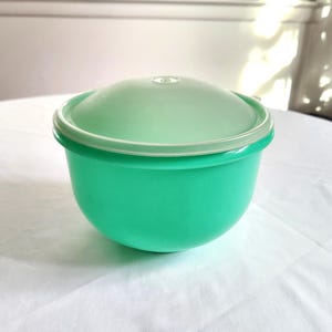 Vintage Tupperware 1424-1 Crisp-it Cabbage Lettuce Keeper Vegetable ...