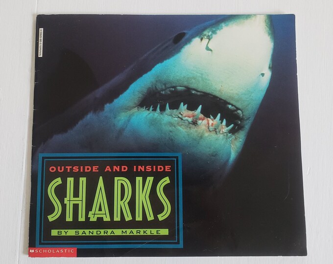 Outside and Inside Sharks by Sandra Markle Vintage 1990's Marine ...