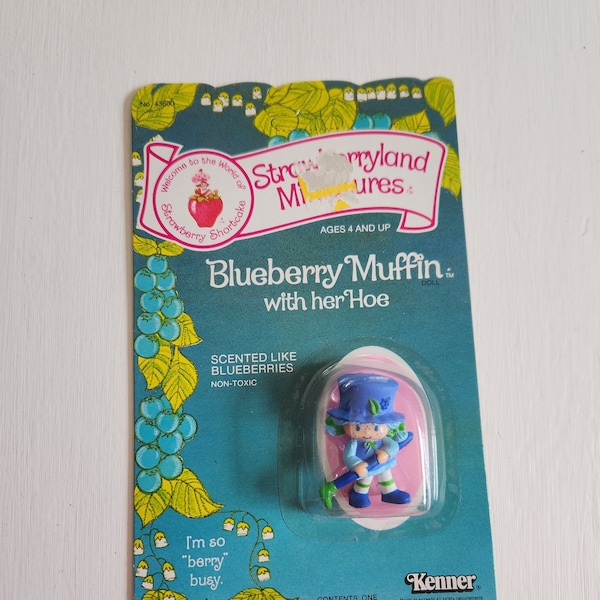 Strawberry Shortcake Toy Box - Etsy