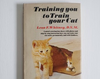 Animal Train Book - Etsy