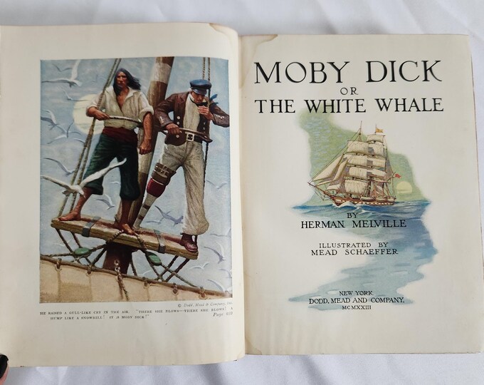 Moby Dick by Herman Melville - Illustrated by Mead Schaeffer -- Vintage ...