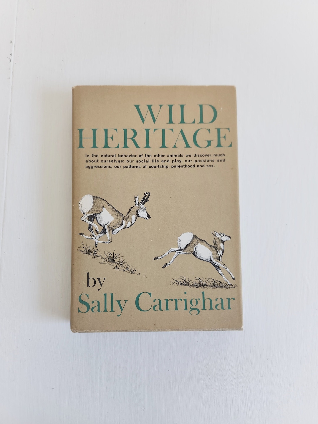 Wild Heritage by Sally Carrighar Illustrated by Rachel S. Horne Vintage ...