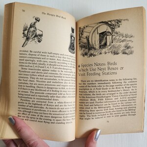 The Hungry Bird Book by Arbib & Soper Illustrated by Robert Gillmore ...