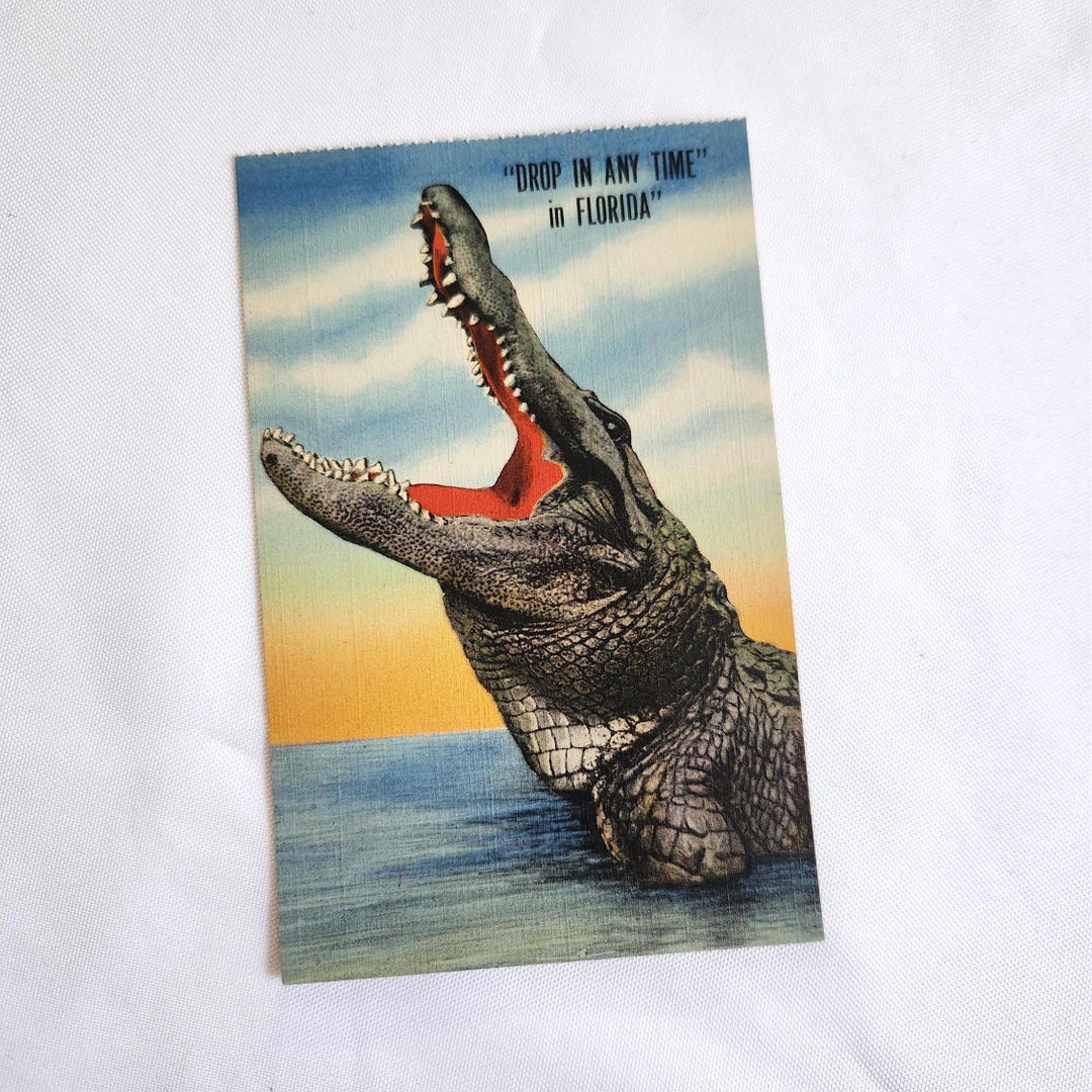 Vintage Alligator Linen Finish Postcard - Drop in Any Time - Retro ...