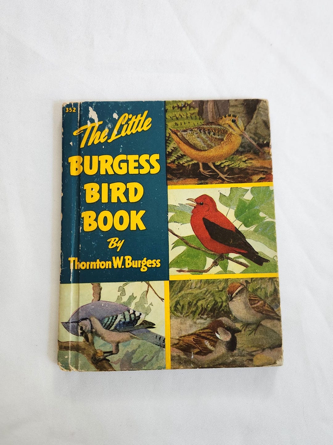 The Little Burgess Bird Book for Children by Thornton W. Burgess ...