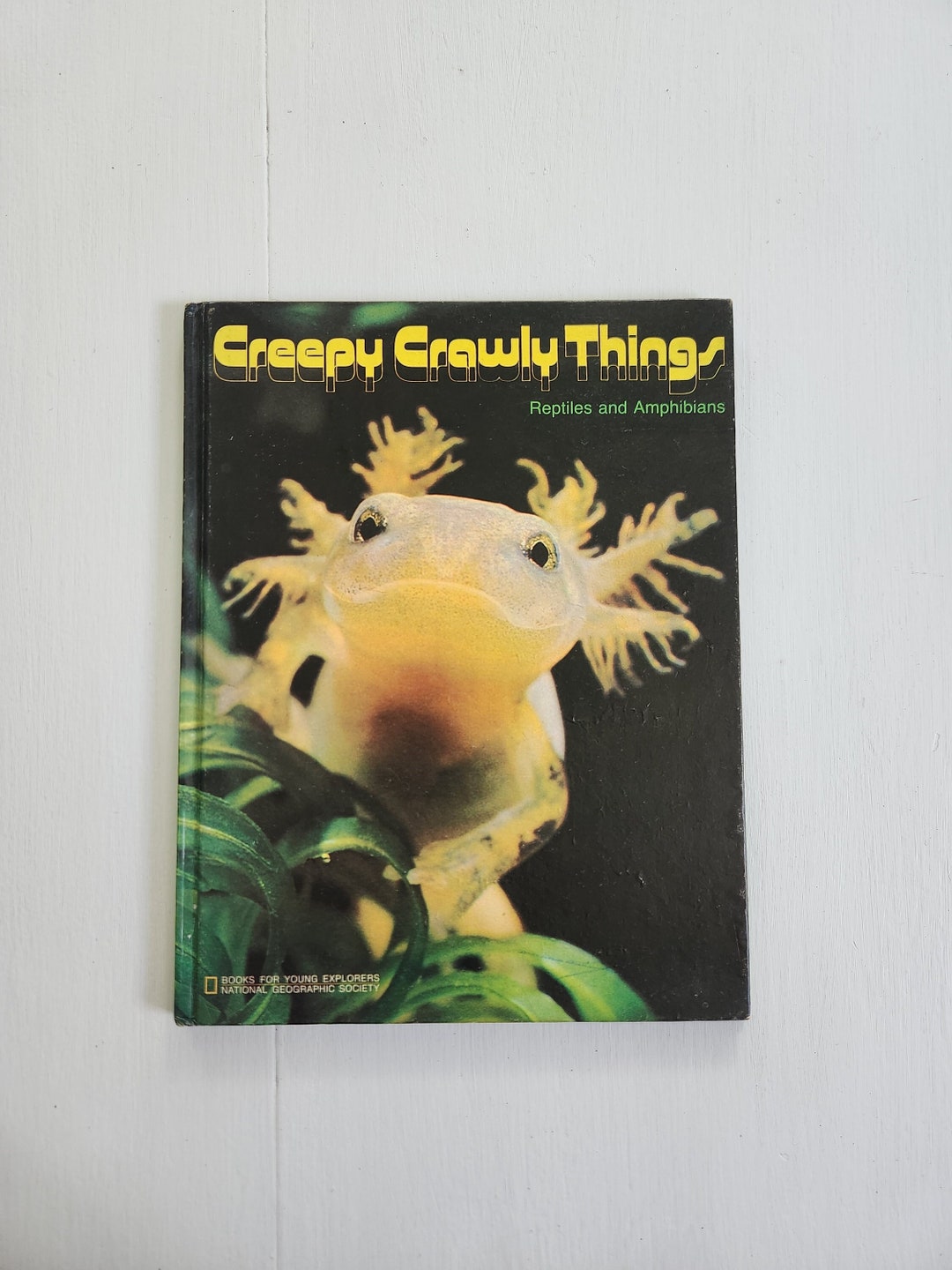 Creepy Crawly Things - Reptiles and Aphibians - Vintage 1970s National ...