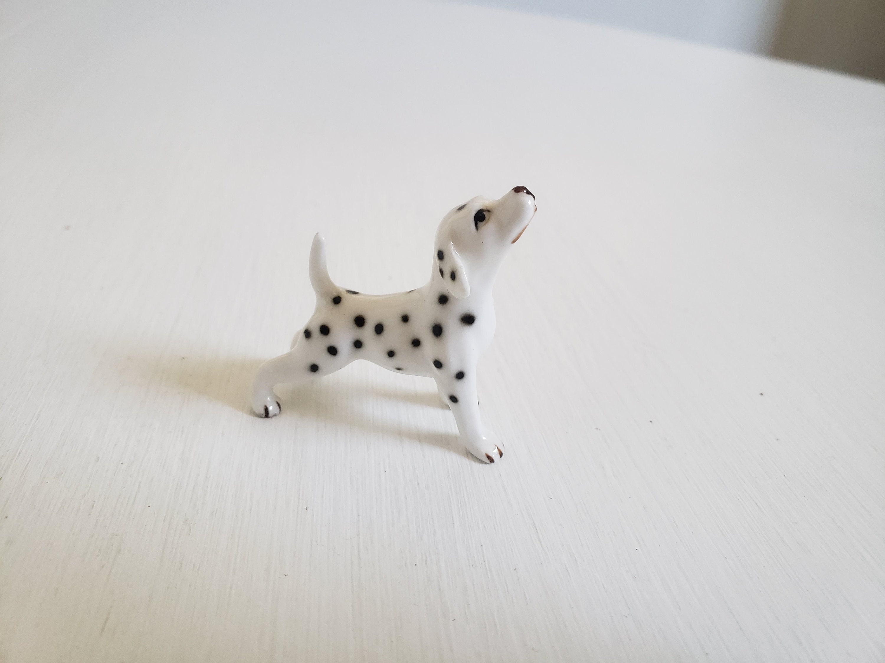 Miniature Dalmatian Puppy